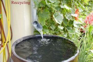 Water | Definition, Source, 3 Form, Cycle,Type,Conservation